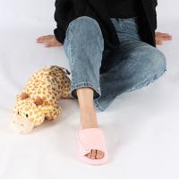 China Factory price Cheap Women Coral fleece home Indoor Slippers Pure Color Open Toe Candy Color Flat house shoes for sale