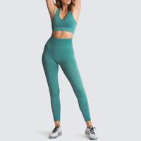 China Hot selling seamless yoga clothing set lift hip running fitness backless sports bra high waist pants tight women sportswear for sale