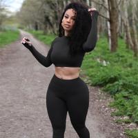 China Autumn women's new  solid color long sleeve Crop Top sportswear high waist and butt lift long trousers ladies sports suit for sale