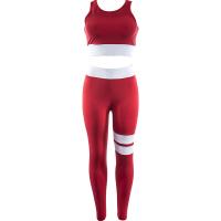 China Female Sports Suit Women contracted sportswear  Running Leggings Fitness Clothing Yoga Set Gym Jogging Sets for sale