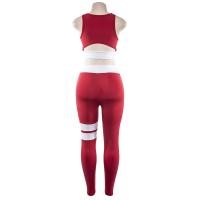 China Female Sports Suit Women contracted sportswear  Running Leggings Fitness Clothing Yoga Set Gym Jogging Sets for sale