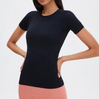 China Hot sale Seamless Yoga Sports Top Basic women Activewear solid color running Breathable Fitness clothing tee shirts supplier for sale