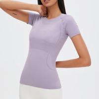 China Hot sale Seamless Yoga Sports Top Basic women Activewear solid color running Breathable Fitness clothing tee shirts supplier for sale