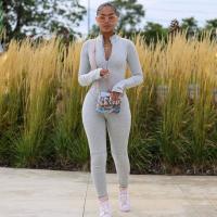 China Fitness Active Wear Rompers front Zipper deep V Neck Sexy Fashion Long Sleeve Workout Sports set Women Jumpsuit for sale