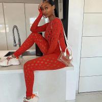 China Latest Design Fashionable solid color Sportswear Skinny Long yoga Pant women Bodycon ladies one piece long sleeve Jumpsuit for sale
