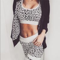 China Women Widen stripe Sports Set Printed Dot Leopard Grain Yoga two piece Set Gym sportswear for sale