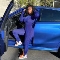 China Women long sleeve fitness bra and pants sportswear front zippers yoga set skinny line jumpsuit for sale