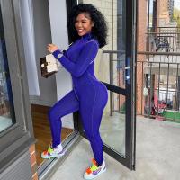 China Women long sleeve fitness bra and pants sportswear front zippers yoga set skinny line jumpsuit for sale
