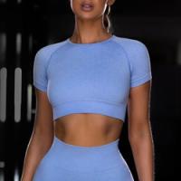 China custom logo Women two pieces Yoga Sets Hot-selling solid color Sports T-shirt And High waist yoga Legging Gym Fitness clothes for sale
