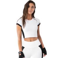 China short Sleeves Women Activewear Stitching Color Yoga Legging And Bra Crop Top Running Sportswear for sale