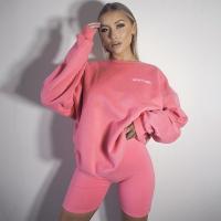 China 2020 fall hot sale women fitness clothing 2 pieces yoga sets lady casual sports wear long sleeve round collar shorts sports set for sale