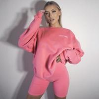 China 2020 fall hot sale women fitness clothing 2 pieces yoga sets lady casual sports wear long sleeve round collar shorts sports set for sale