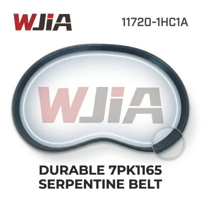 China 11720-1HC1A 7PK1165  V-Ribbed Belt For Nissan March Almera Sunny Versa for sale