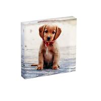 China UV Printing Solid Acrylic Block With Fine Polished Edges Acrylic Logo Block for sale