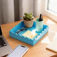China Durable Square Acrylic Tray With Non Porous Glossy Surface  8