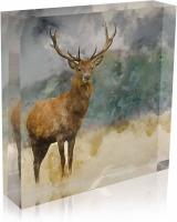 China Personalized UV Photo Print Acrylic Square Display Block Unique Customized Picture for sale