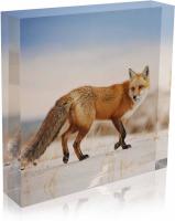 China Personalized UV Photo Print Acrylic Square Display Block Unique Customized Picture for sale