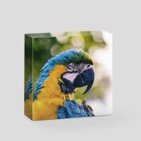 China High Transparency Scratch Resistant Custom Acrylic Block For Modern Photo Display for sale