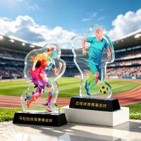 China Acrylic Awards Engraved Custom Acrylic Trophy Display Stand And Decorative Ornament for sale
