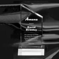 China Custom Acrylic Awards Trophy Blank With / Without Base Plexiglass Awards for sale