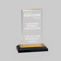 China Plexiglass Awards Acrylic Trophy Awards With/Without Stand Transparent for sale