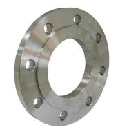 China A105 carbon Steel Plate Flanges Ring Rolling Forging PN100 for sale