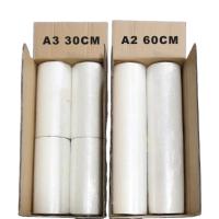 China KECAI DTF Film Heat Transfer Printing PET Film Roll 30cm Hot Peel Inkjet Printer PET Transfer DTF Film for sale