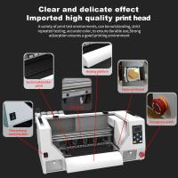 China KECAI 13 Inch Desktop Small DTF Transfer Impresora T Shirt Printing Machine A3 XP600 Print Head Roll Film DTF Printer for sale