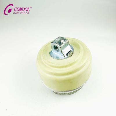 China COMOOL Automotive Engine System A2212407117 for Mercedes-Benz W221 S500 Left Engine Mount for sale