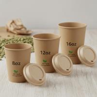 China Biodegradable Kraft Paper Coffee Cup Compostable Lid Included PE Free 8oz 12oz 16oz Custom for sale