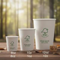 China FSC Certified Virgin Pulp Paper Cup Sustainable Forestry Food Grade Hot Drink 8oz 10oz 12oz for sale