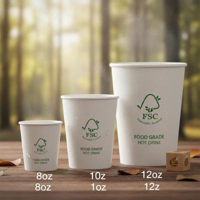 China FSC Certified Virgin Pulp Paper Cup Sustainable Forestry Food Grade Hot Drink 8oz 10oz 12oz for sale