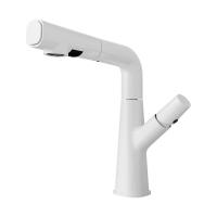 China Antiseptic Zinc Alloy 360 Degree Rotating Faucet Dual Mode Lift Pull For Bathroom for sale