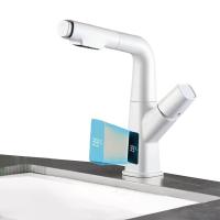 China Hydrodynamic Temperature Display LED Kitchen Faucet For Bathroom Custom 1500g for sale