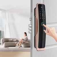 China Graffiti Biometric Fingerprint Wifi Keyless Door Lock Cat'S Eye Monitoring for sale
