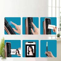 China Graffiti Biometric Fingerprint Wifi Keyless Door Lock Cat'S Eye Monitoring for sale
