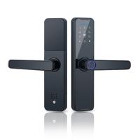 China Keyless Entry Biometric Mortise Lock Fingerprint Keypad Door Lock for sale