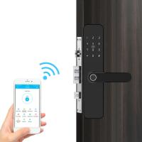 China TTLOCK Tuya Graffiti Smart Outdoor Biometric Door Lock For Home for sale