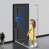 China Biometric Fingerprint Mortise Lock Face Recognition Electronic For Bedroom Door for sale