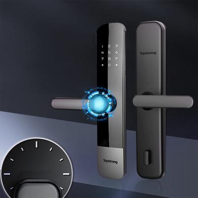 China Digital Fingerprint Mortise Lock Anti Theft For Door Custom for sale
