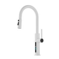 China Gooseneck Kitchen Pull Out Sink Faucet Hot And Cold Water Antisplash for sale