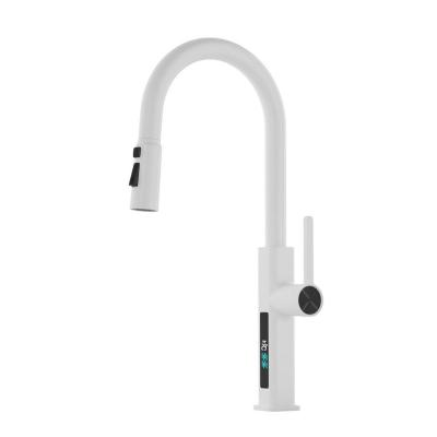 China Gooseneck Kitchen Pull Out Sink Faucet Hot And Cold Water Antisplash for sale