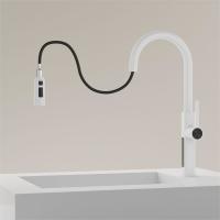 China Gooseneck Kitchen Pull Out Sink Faucet Hot And Cold Water Antisplash for sale