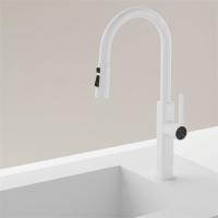 China Gooseneck Kitchen Pull Out Sink Faucet Hot And Cold Water Antisplash for sale