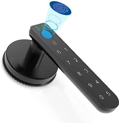 China Touchscreen Fingerprint Biometric Keypad Door Lock Keyless Entry for sale