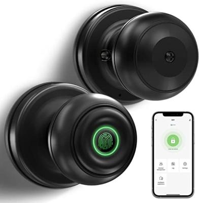 China Electronic Fingerprint Biometric Security Door Lock For Bedroom Apartment for sale