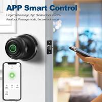 China Electronic Fingerprint Biometric Security Door Lock For Bedroom Apartment for sale