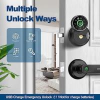 China Biometric Wifi Keyless Door Lock Fingerprint Smart With Keypad Aluminium for sale