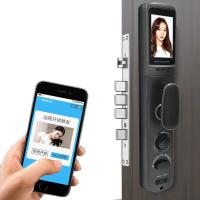 China Cat'S Eye Security Surveillance Smart Fingerprint Door Lock Remote Capture OEM for sale