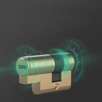 China Cat'S Eye Security Surveillance Smart Fingerprint Door Lock Remote Capture OEM for sale